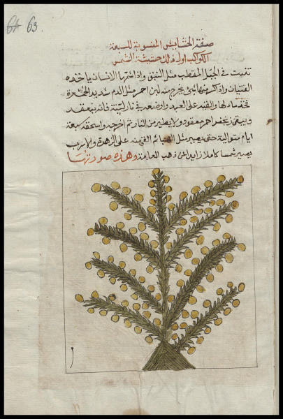 Alchemical Imagery - Emblematic - Manuscripts - Gotha Ms. Orient. A 1261